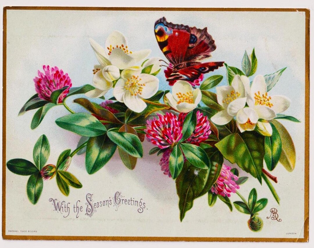 HELLEBORUS, CLOVER and BUTTERFLY, M.B., Bertha Maguire, Victorian ...