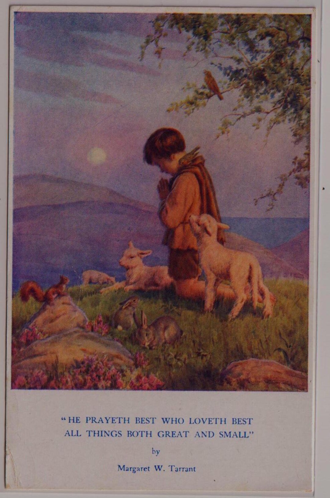He Prayeth Best Who Loveth Best, Little SHEPHERD Praying and Little LAMBS, Margaret TARRANT ...