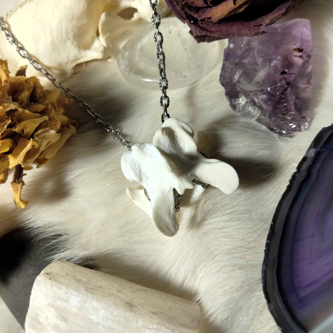 Fox Vertebrae Necklace - Etsy