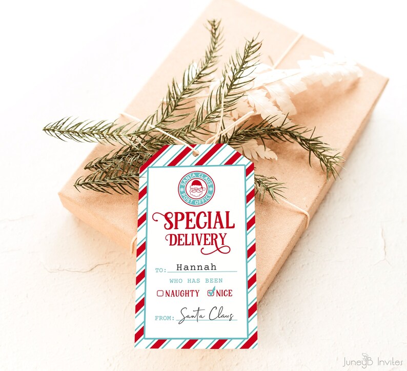 Editable Santa Gift Tags | Special Delivery Christmas (digital Download ...