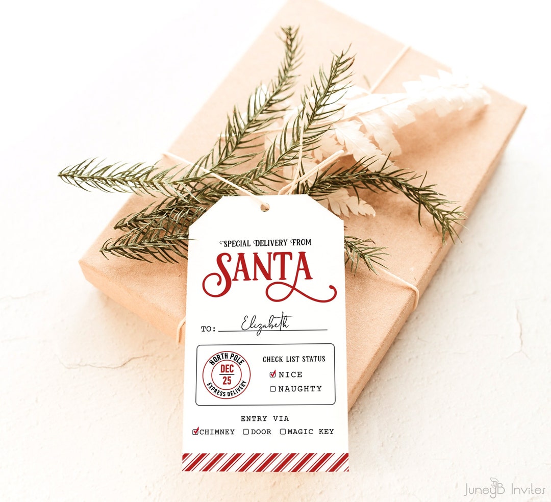 Special Delivery From Santa Christmas Tag | North Pole Tag | Editable ...