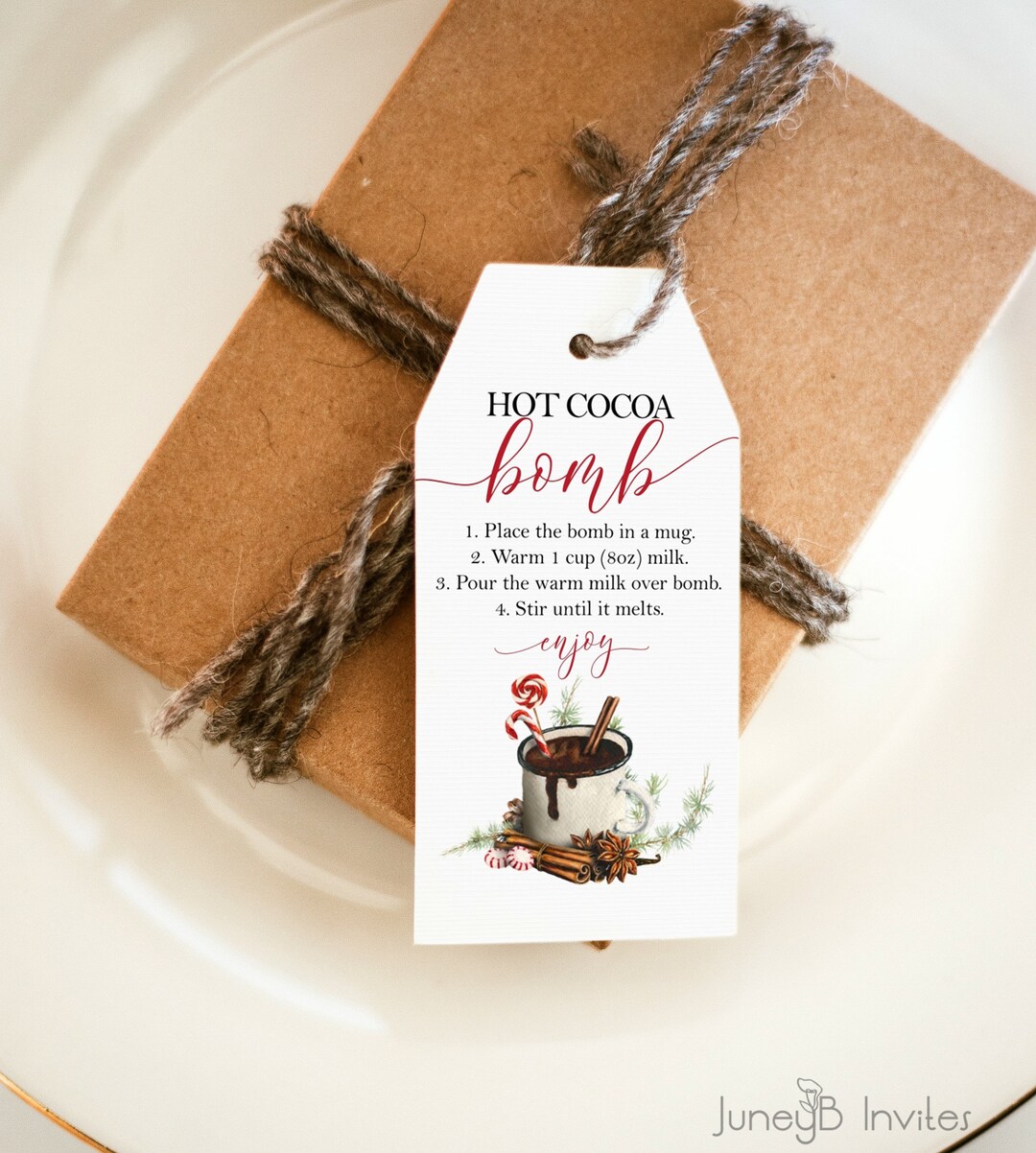 Hot Chocolate Bomb Tag, Printable Cocoa Bomb Directions, Cocoa Favor ...
