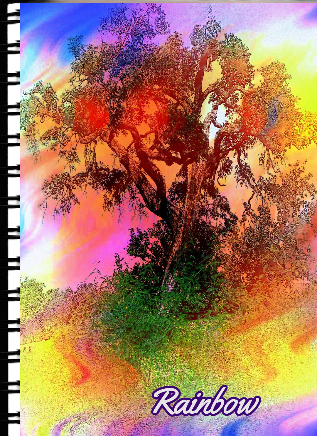 Rainbow Tree Password/web Address Book - Etsy