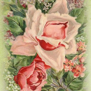 Pink Rose Address Book With Web Address - Etsy