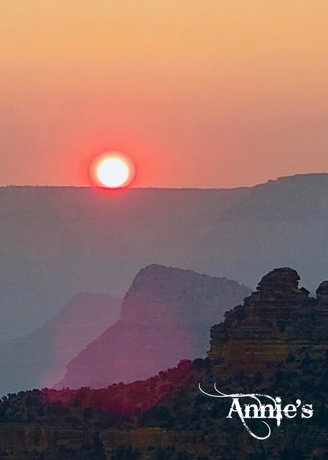 Password/web Address Book Grand Canyon Sunset - Etsy