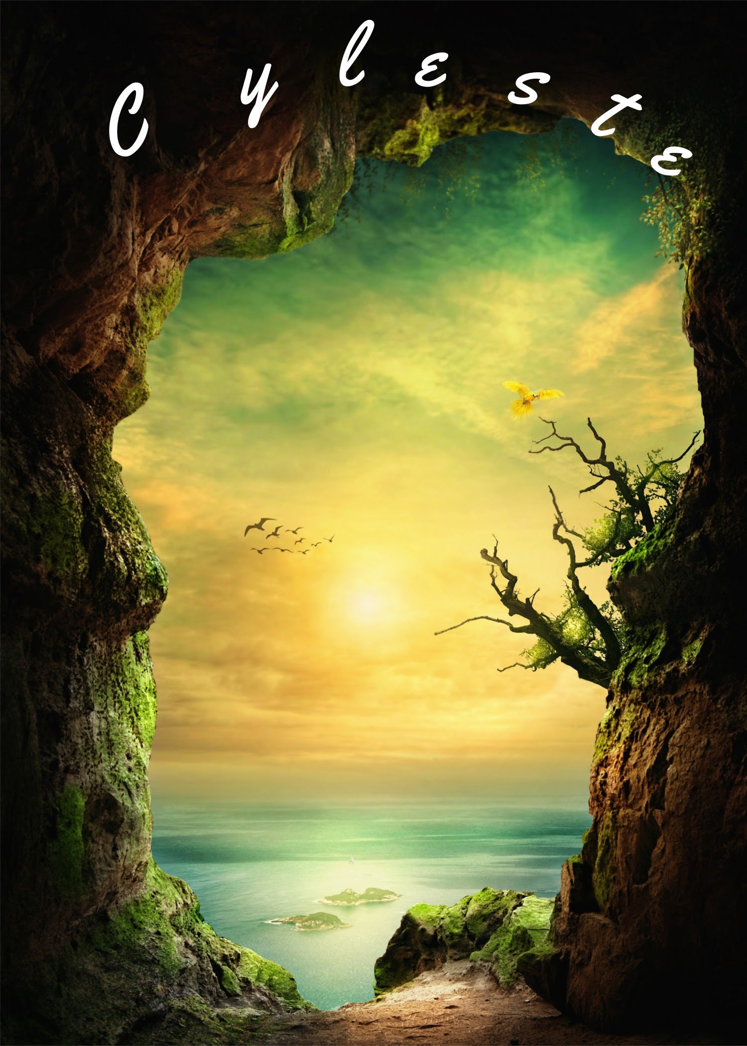 Mystical Cave Password/web. Address Book - Etsy