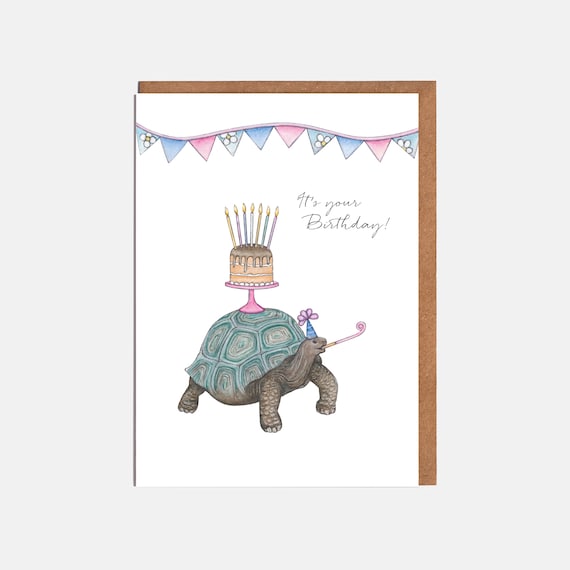 Tortoise Birthday Card 'it's Your Birthday' - Etsy