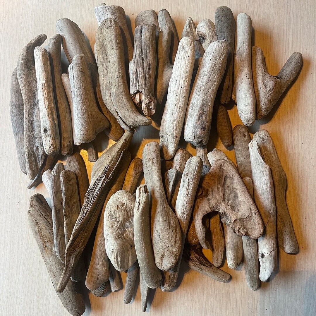 50 Count Box 3 6 Oregon Driftwood Sticks - Etsy