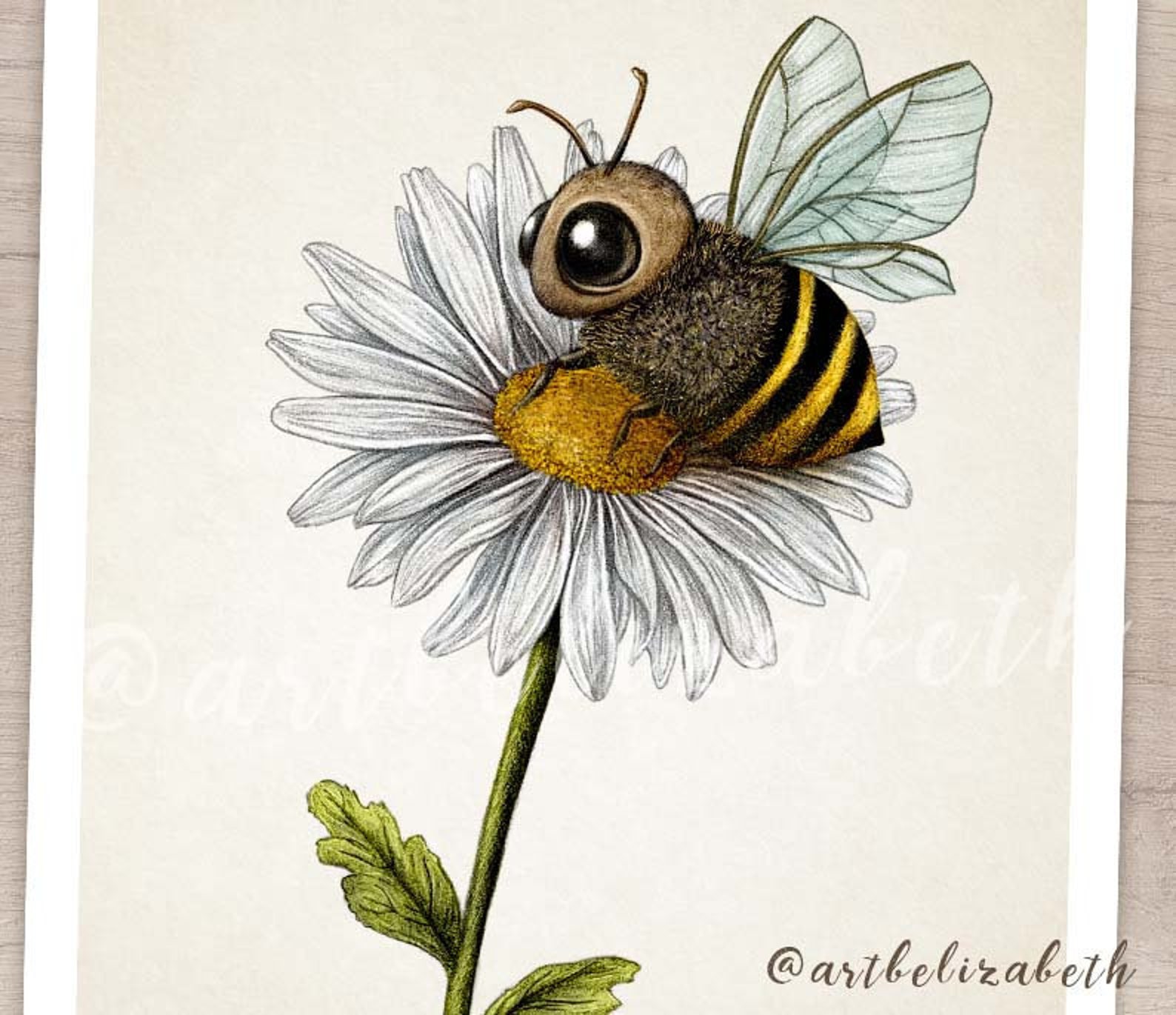 Fine Art Print Bee and Daisy - Etsy
