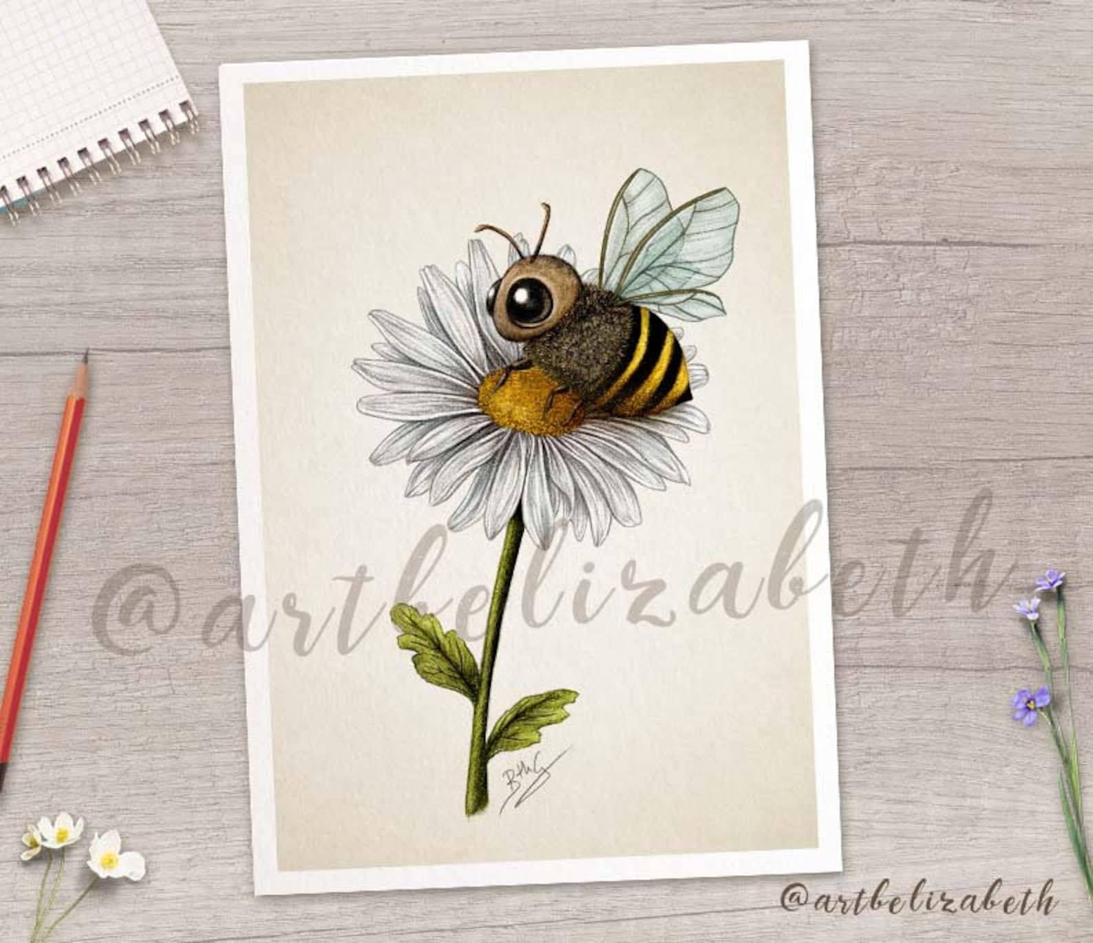 Fine Art Print Bee and Daisy - Etsy