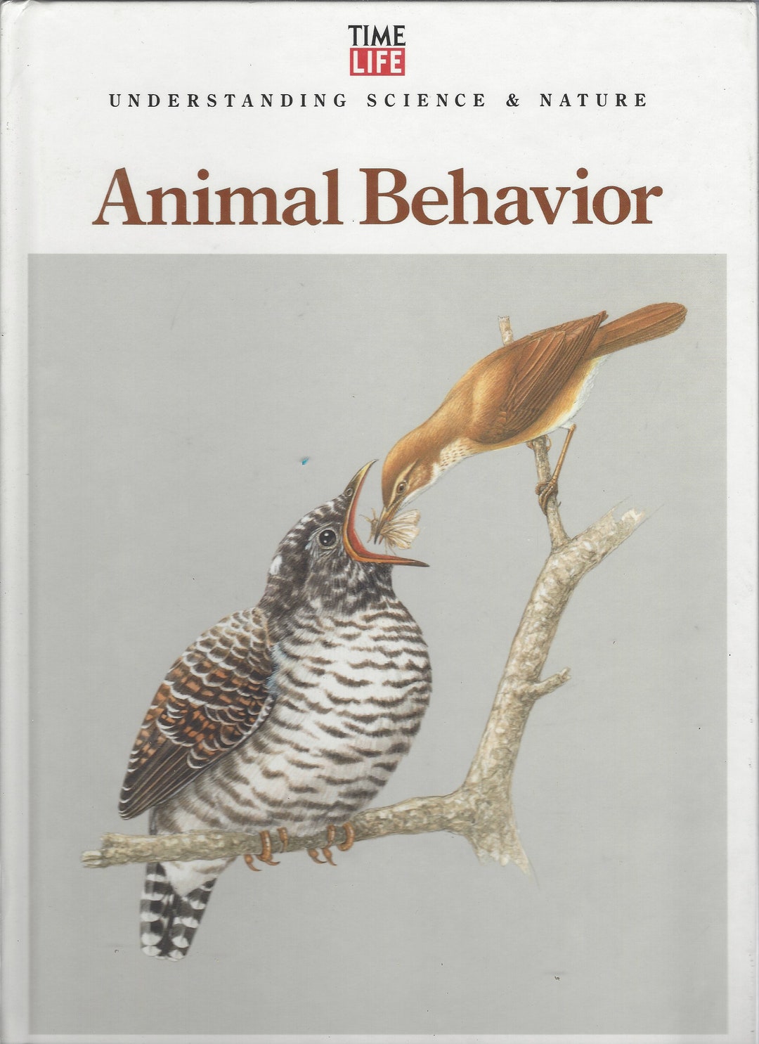 TIME-LIFE: Understanding Science & Nature; Animal Behavior (1992) - Etsy
