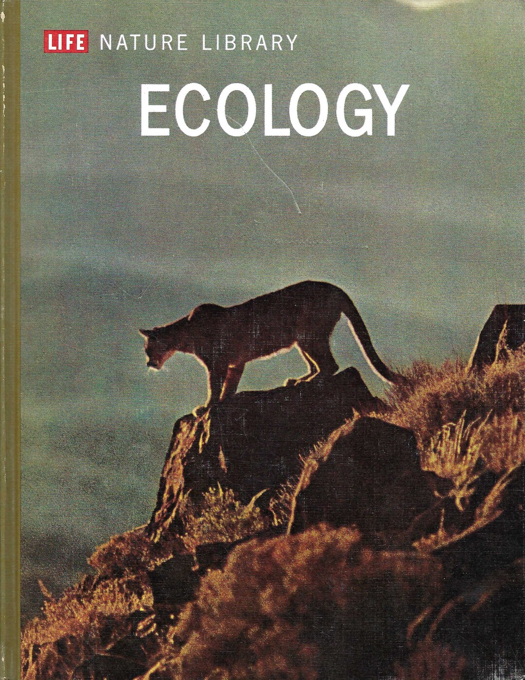 TIME LIFE: Nature Library; Ecology by Peter Farb - Etsy