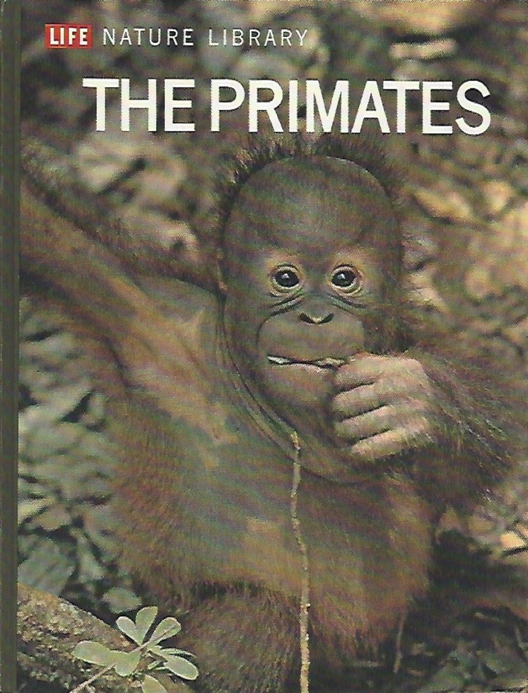 TIME LIFE: Nature Library; the Primates by Sarel Eimerl and Irven ...