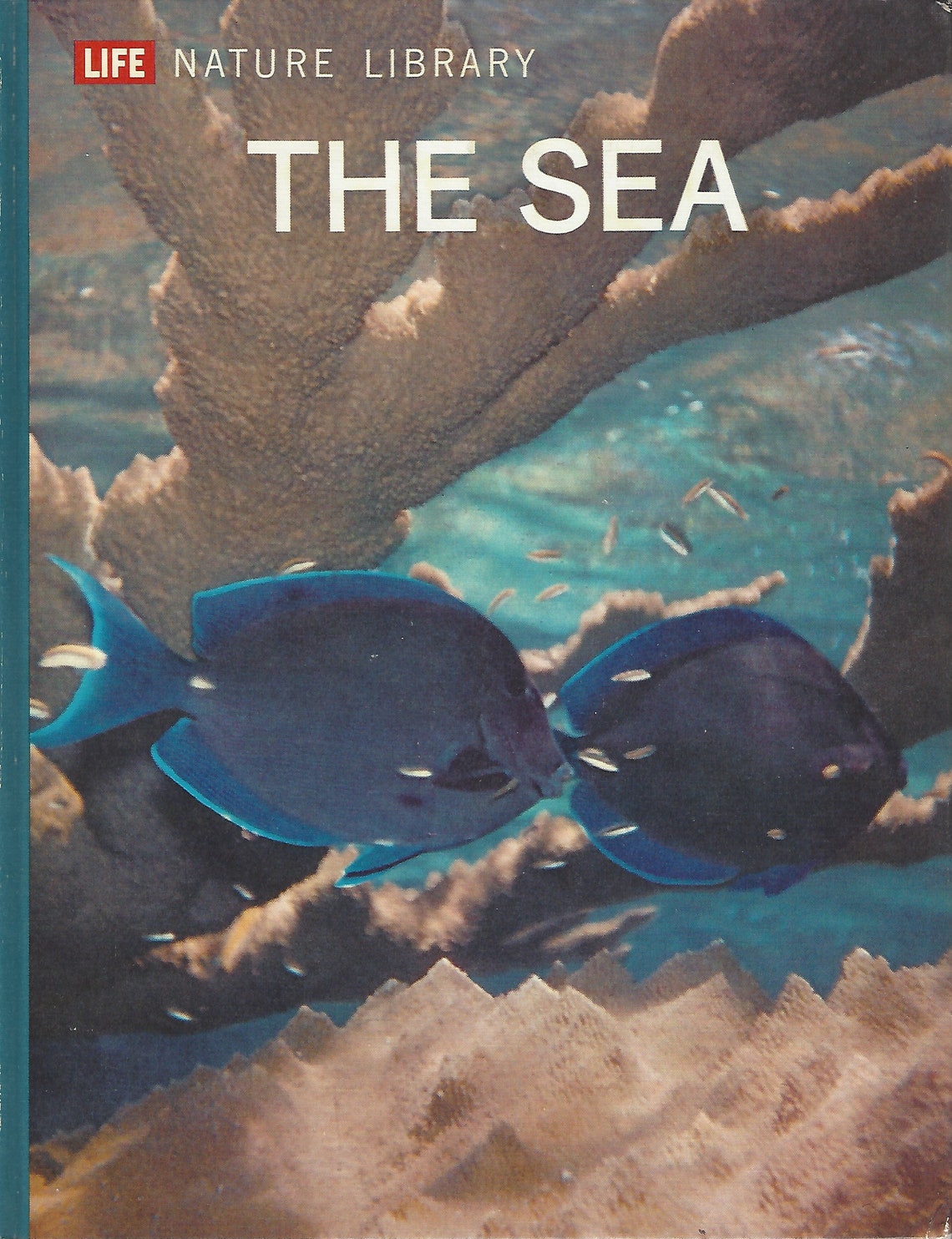 Time Life: Nature Library; the Sea by Leonard Engel - Etsy
