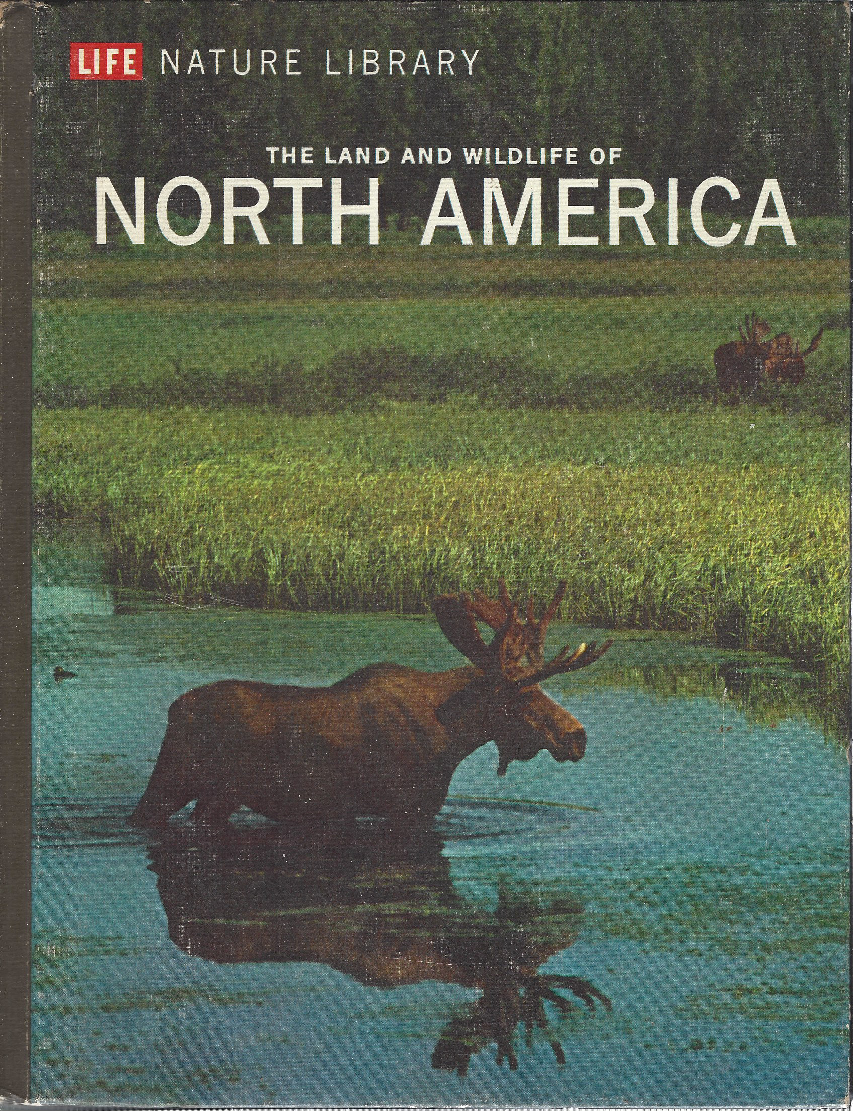 TIME LIFE: Nature Library the Land and Wildlife of North - Etsy