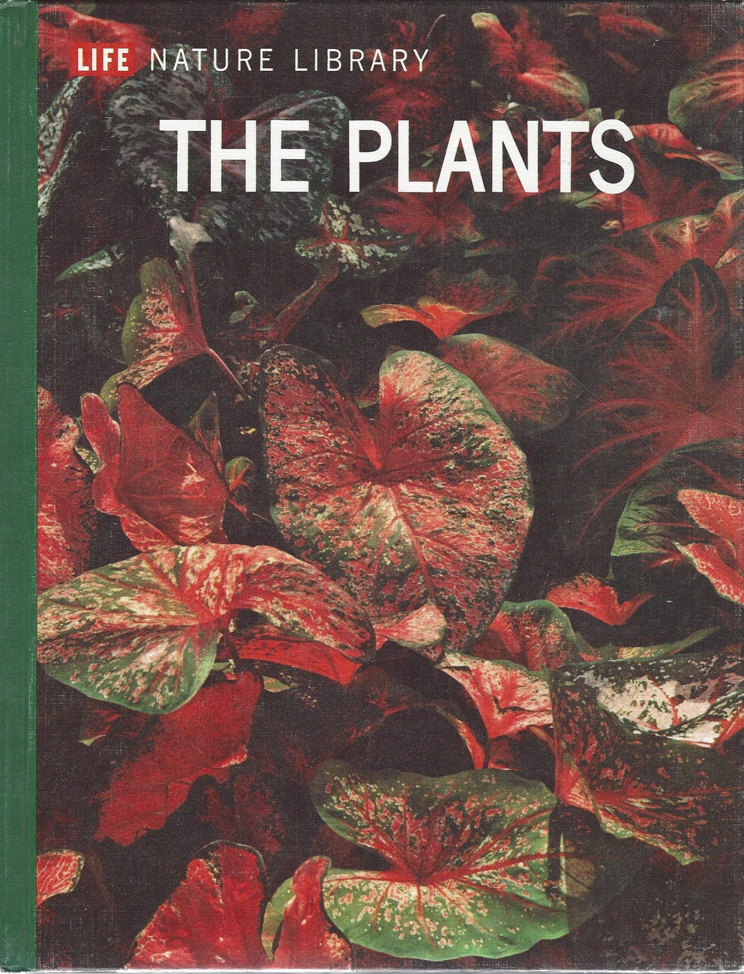 TIME LIFE: Nature Library; the Plants by Frits W. Went (1968) - Etsy