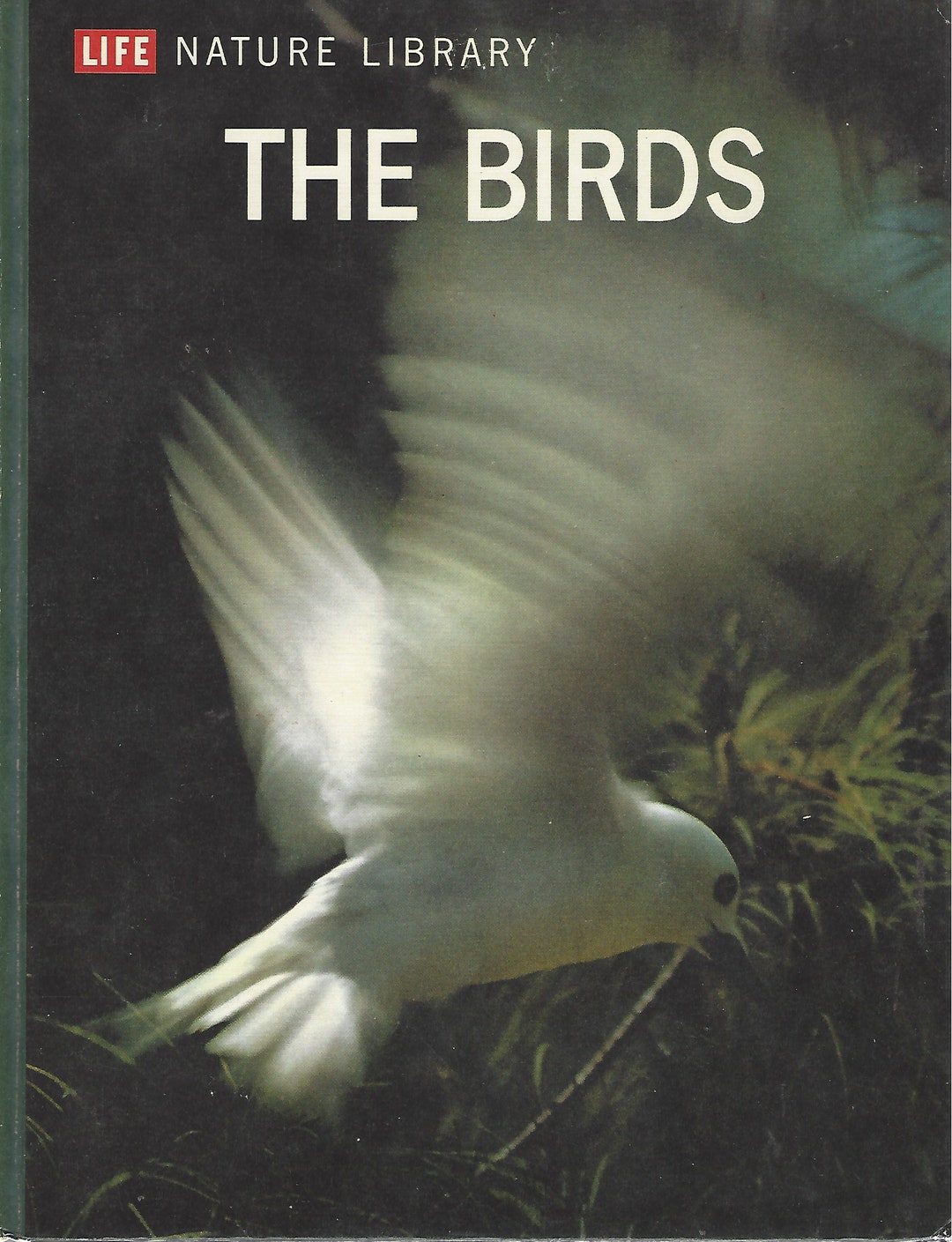 TIME LIFE: Nature Library; the Birds by Roger Tory Peterson - Etsy