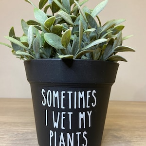 Funny Planter Pot, Plant Pun Pots, Punny Pots, Whimsical Flower Pot ...