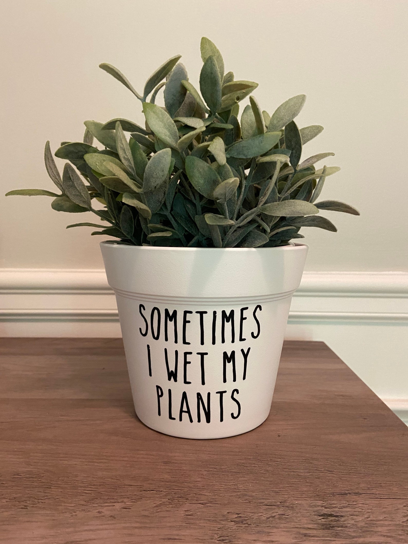 Funny Planter Pot Plant Pun Pots Punny Pots Whimsical - Etsy