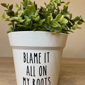Funny Planter Pot, Plant Pun Pots, Punny Pots, Whimsical Flower Pot ...