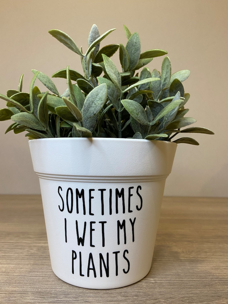Funny Planter Pot, Plant Pun Pots, Punny Pots, Whimsical Flower Pot ...