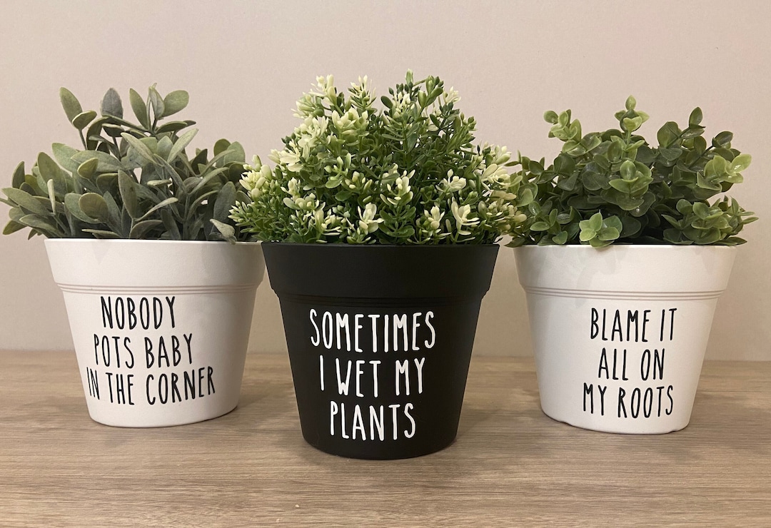 Funny Planter Pot, Plant Pun Pots, Punny Pots, Whimsical Flower Pot ...