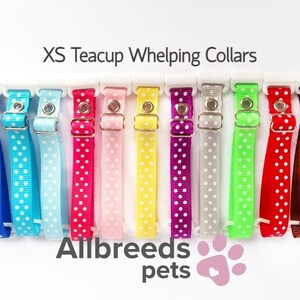 Allbreeds Puppy Whelping ID Band Collars Polka Dot Dog Breeding Kit ...