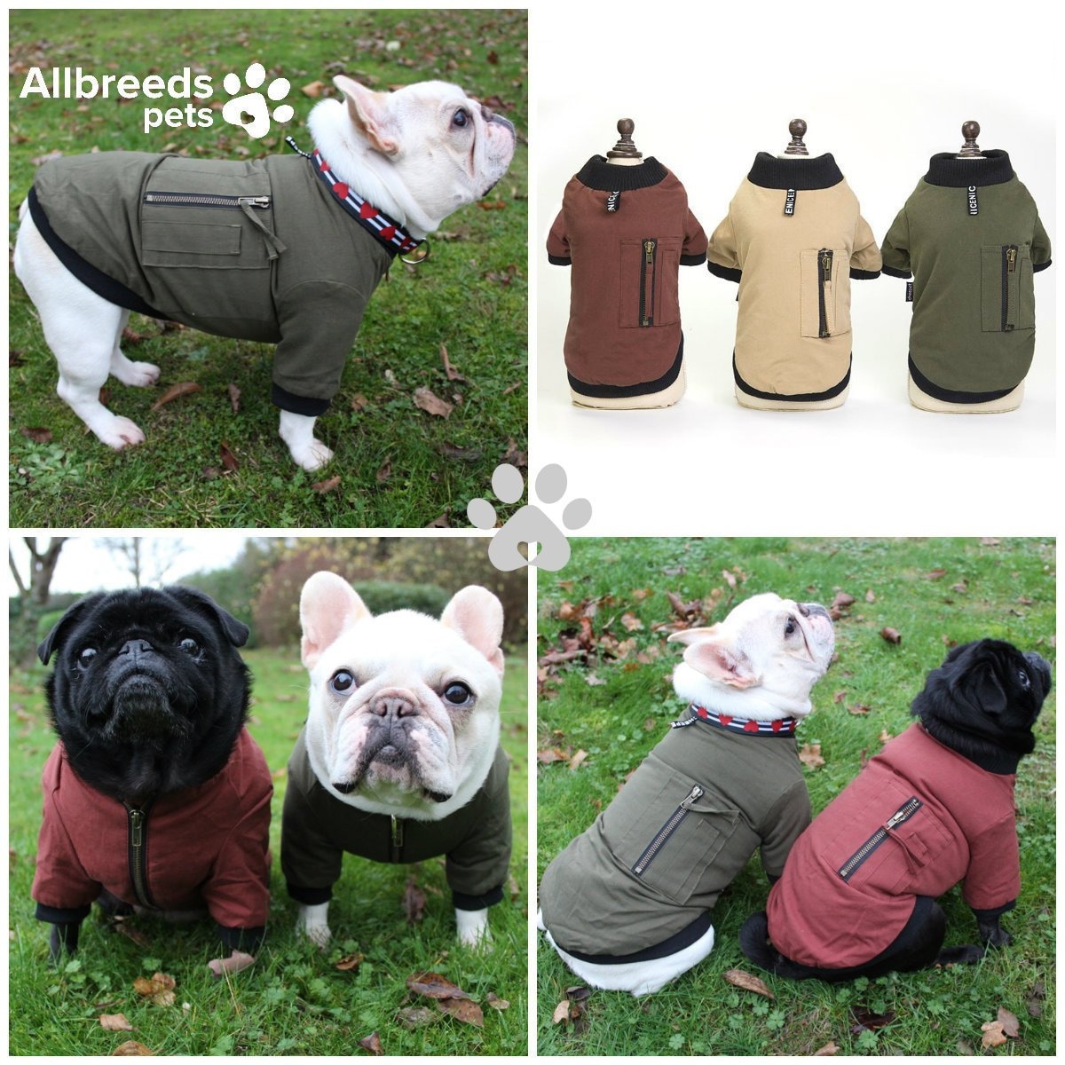 English Bulldog Coat - Etsy UK