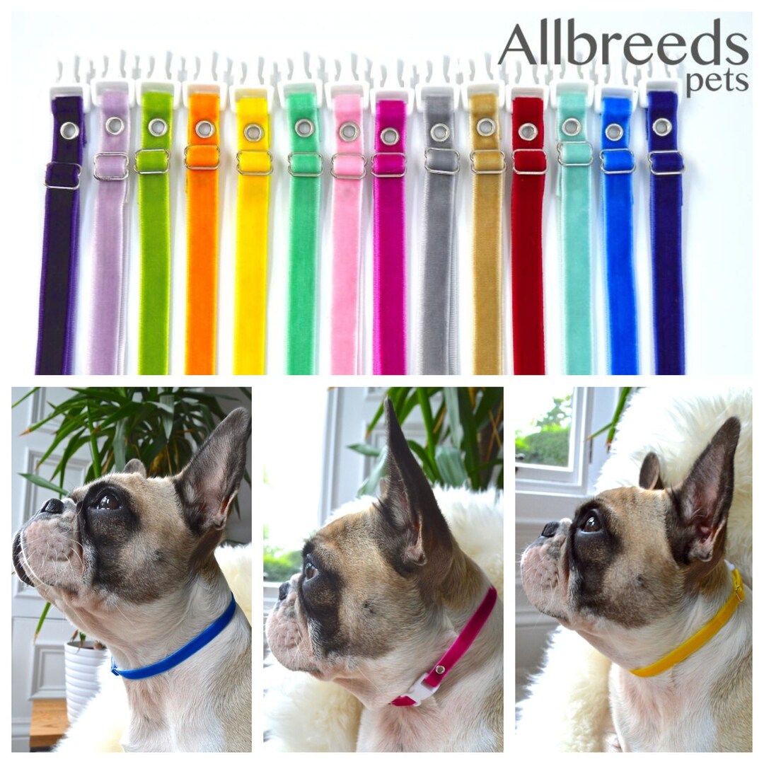 Allbreeds Puppy ID Whelping Collars Velvet Dog Breeding Kit - Etsy