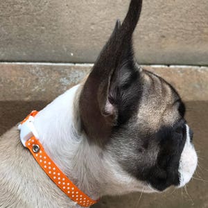 Allbreeds Puppy Whelping ID Band Collars - Etsy