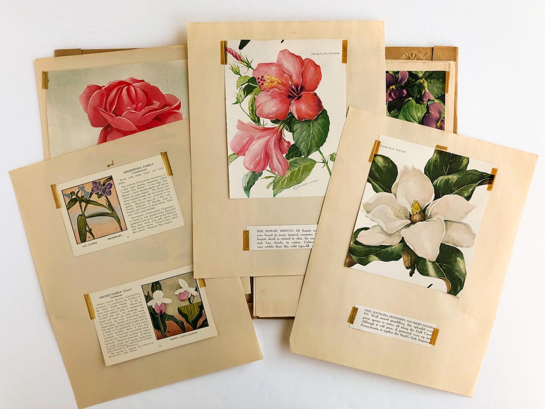 Unusual Vintage Hand Crafted Scrapbook of Poems and Pictures of Flowers ...