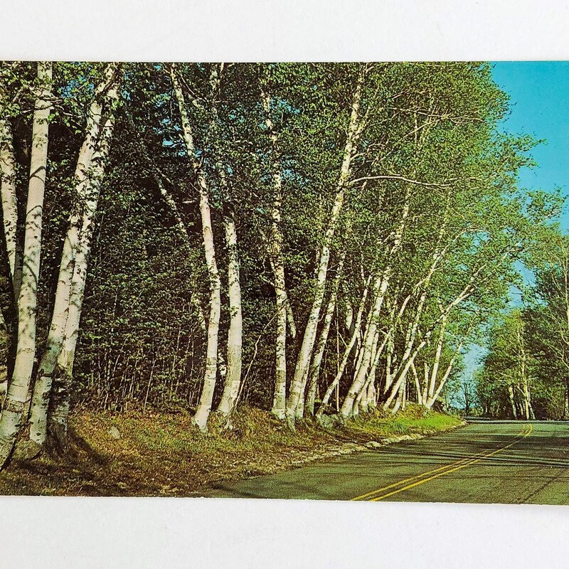 Scenic Postcards - Etsy