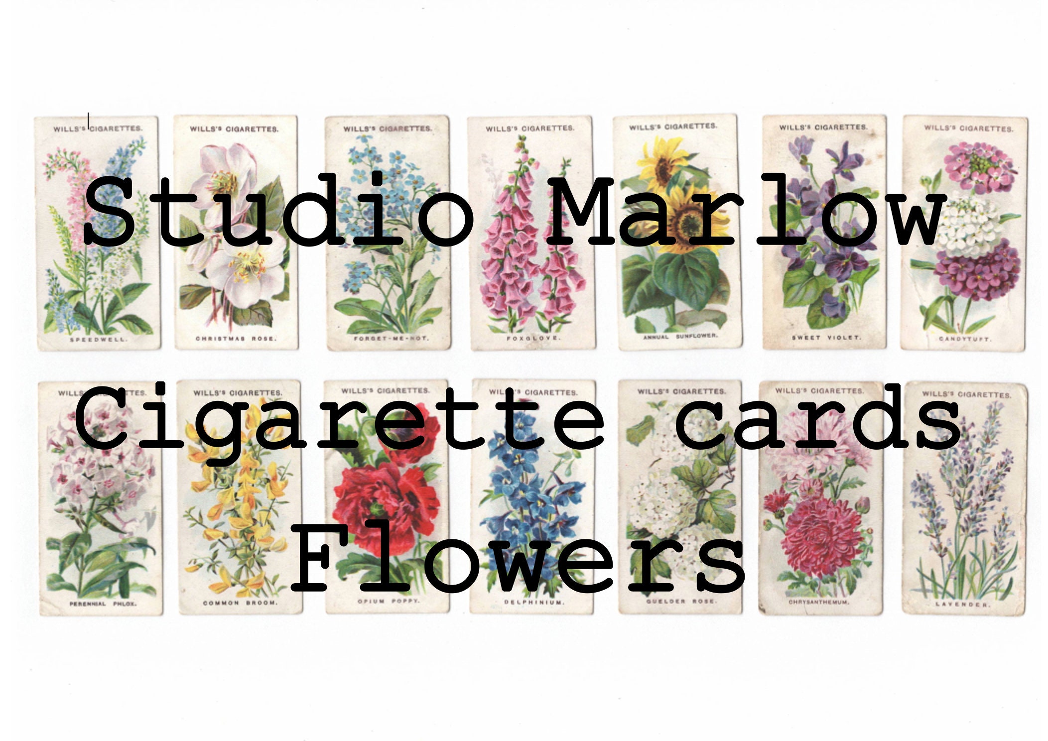 Vintage Cigarette cards Beautiful FLOWERS PRINTABLES for | Etsy