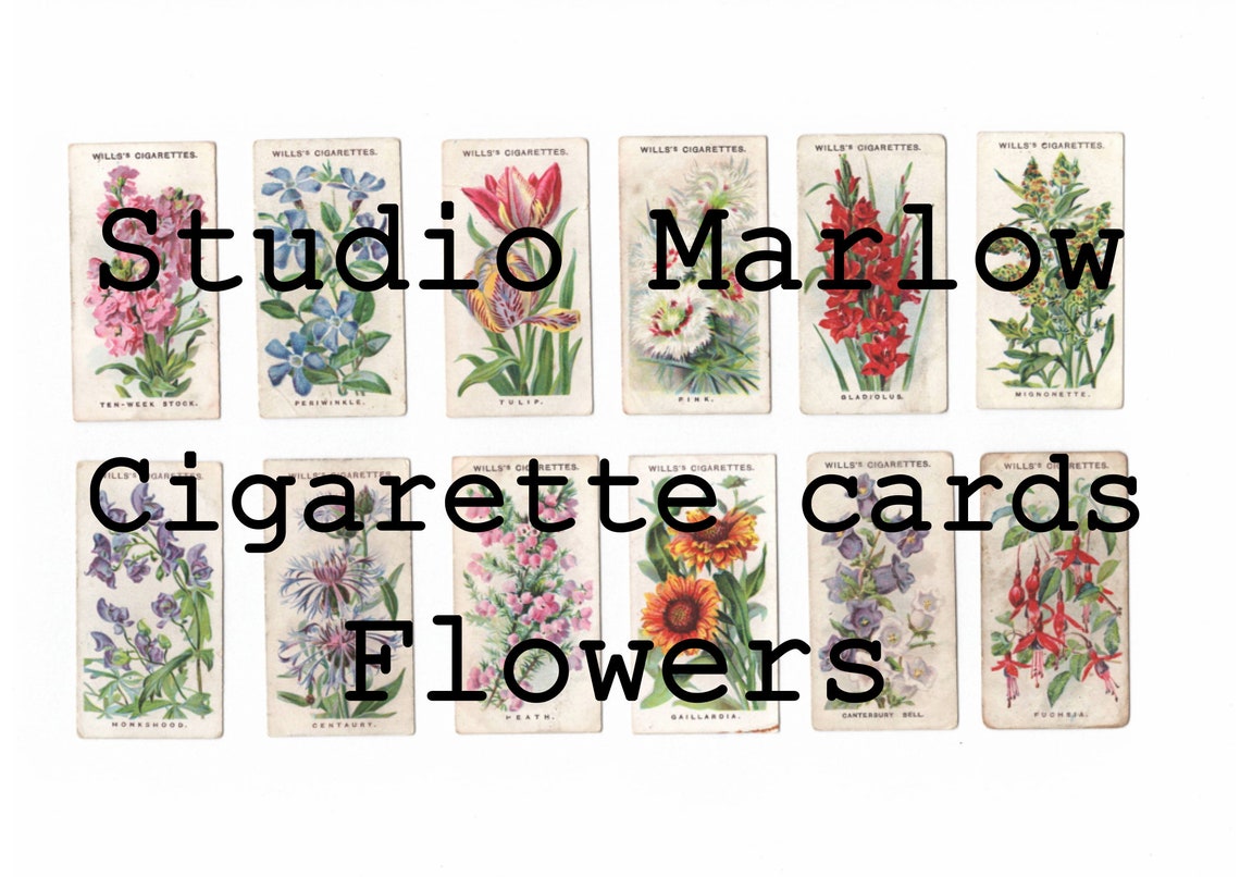 Vintage Cigarette cards Beautiful FLOWERS PRINTABLES for | Etsy