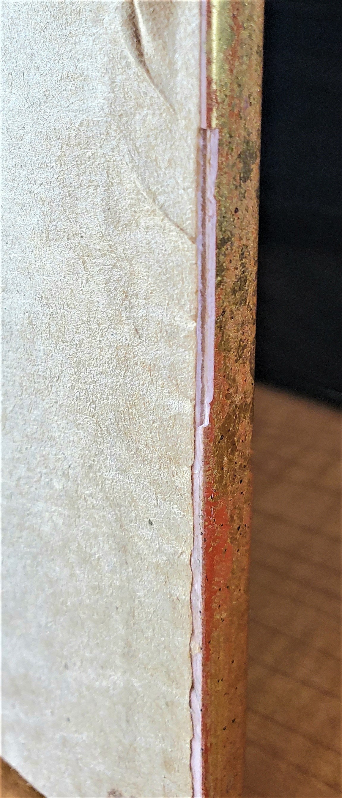 Set of Two Vintage Botanical Prints: Trillum Rivale by Lyn Noble ...