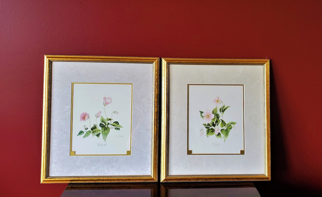 Set of Two Vintage Botanical Prints: Trillum Rivale by Lyn Noble ...