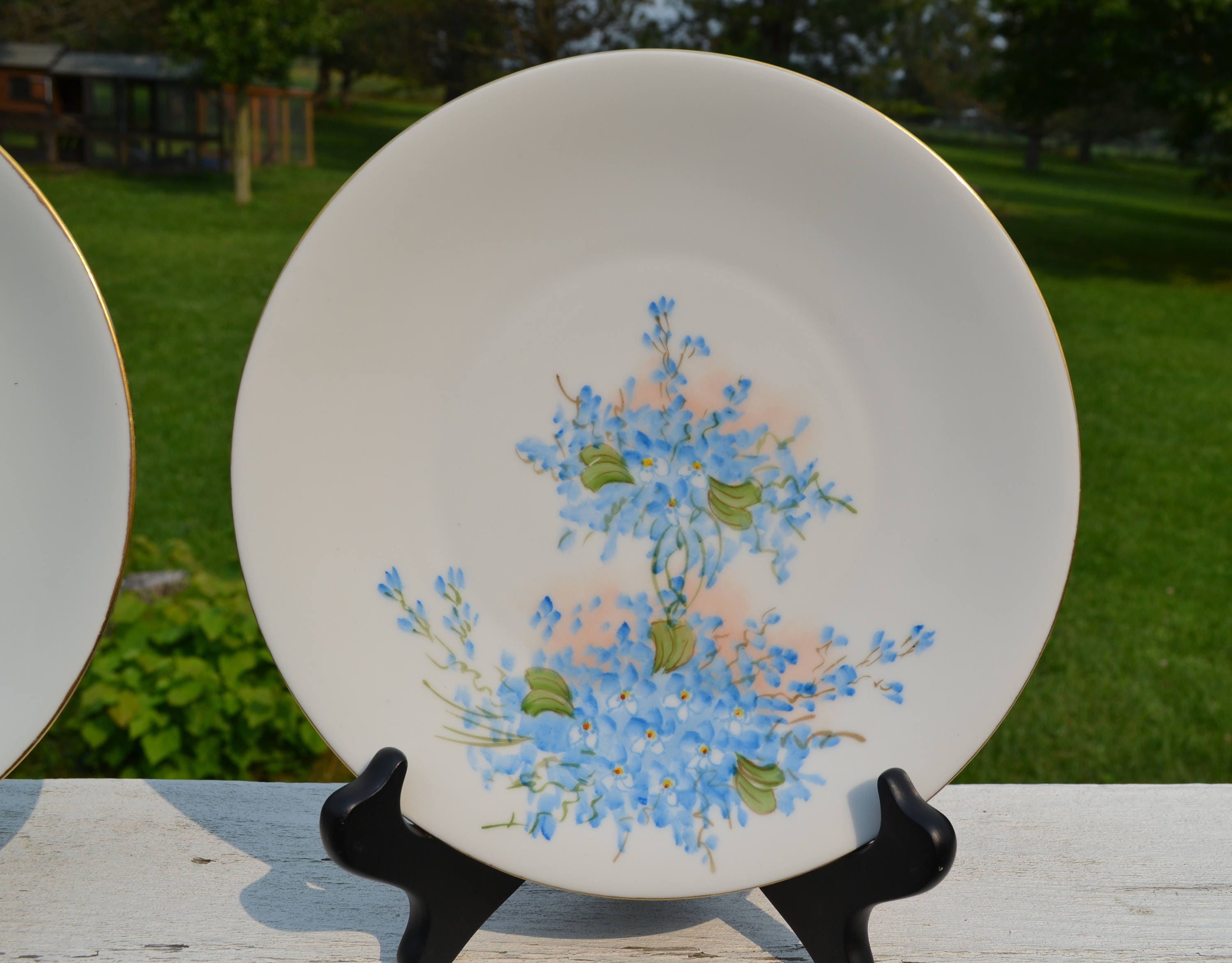 Set of 3 - Favorite Bavaria Hand Painted Plates - Signed - Etsy