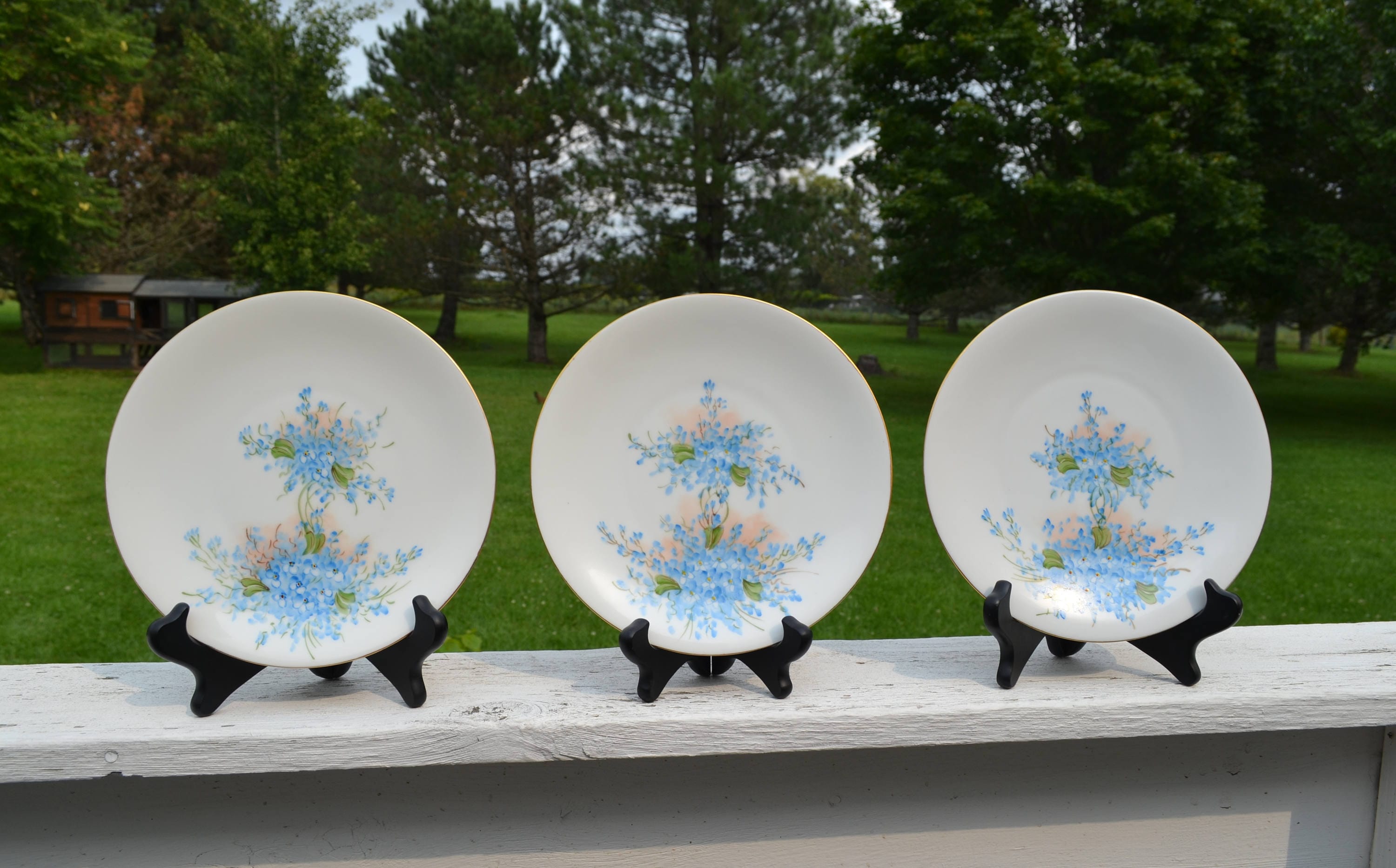 Set of 3 - Favorite Bavaria Hand Painted Plates - Signed - Etsy
