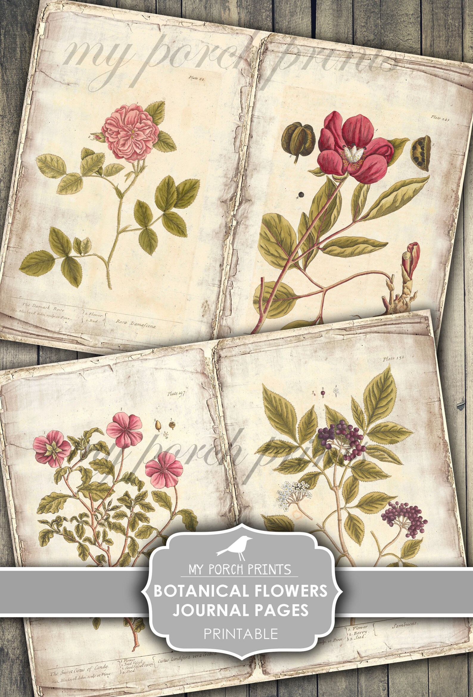 Junk Journal, Botanical, Pages, Flowers, Vintage, My Porch Prints ...