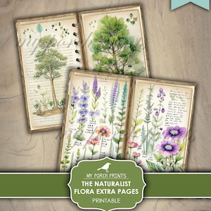 Junk Journal, Naturalist, Flora, EXTRA PAGES, Papers, Nature, Flowers ...