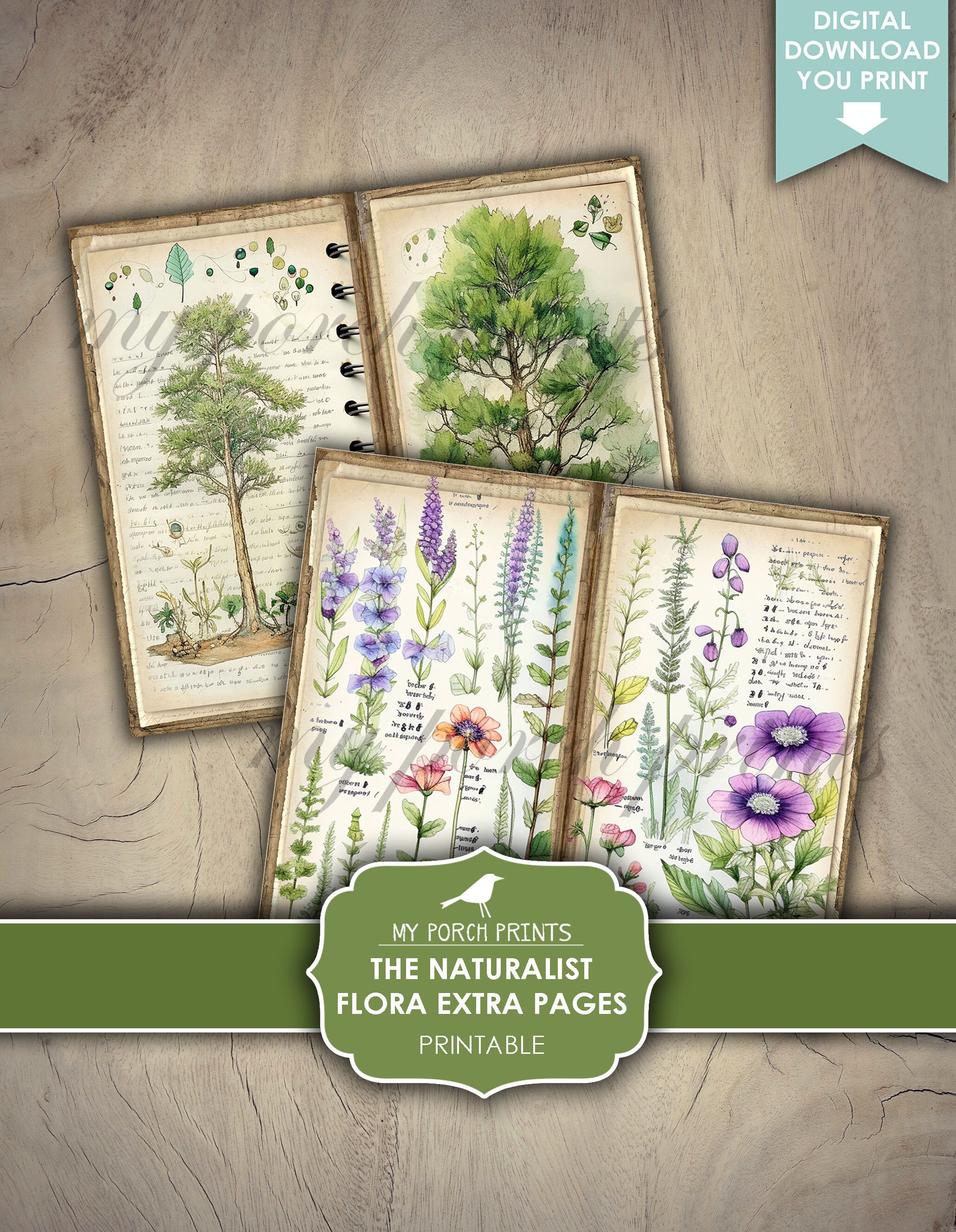 Junk Journal, Naturalist, Flora, EXTRA PAGES, Papers, Nature, Flowers ...