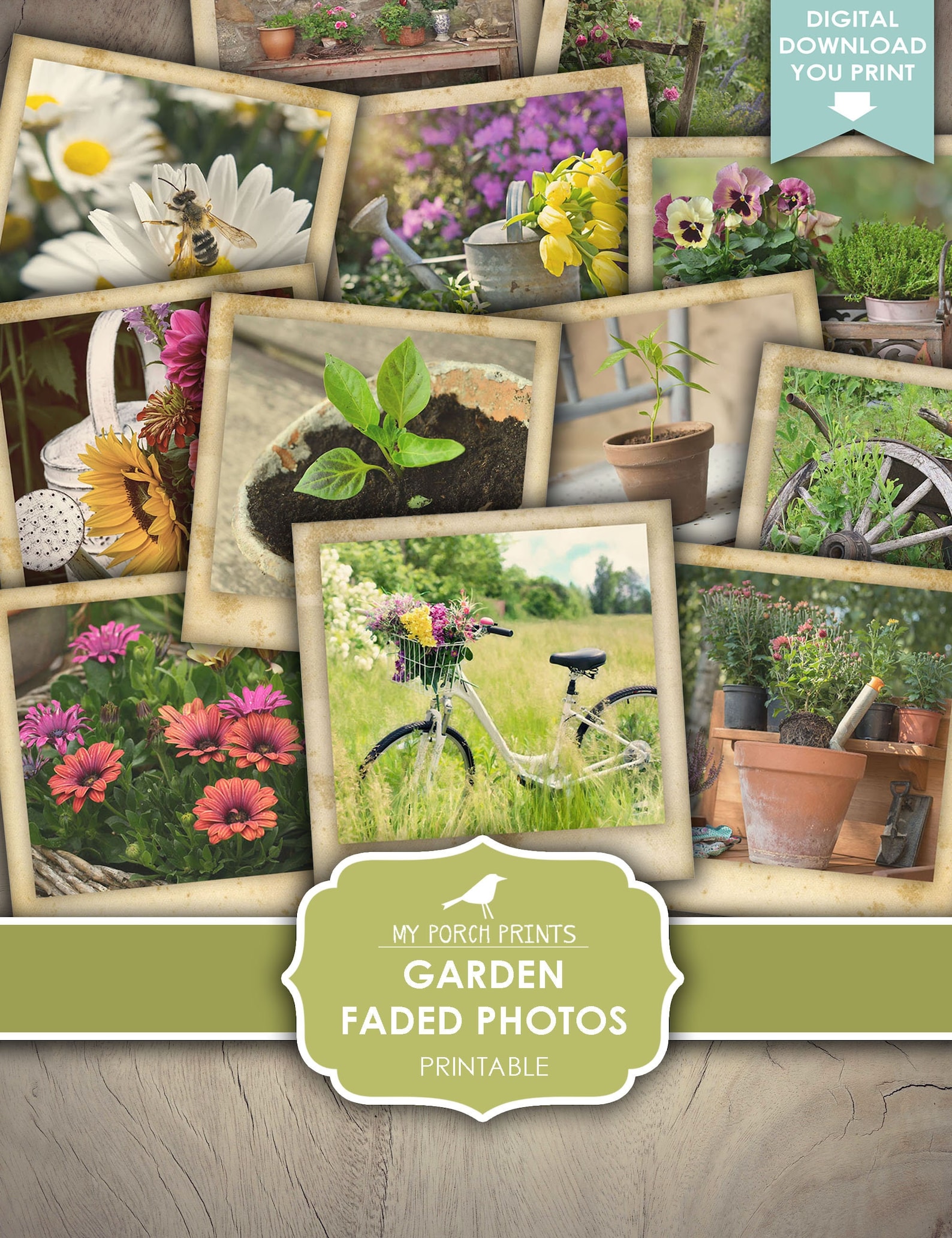 Photos, Faded, Garden, Junk Journal, Photographs, Bullet Journal ...