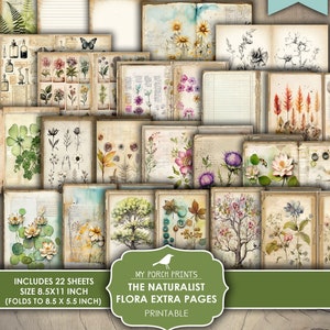 Junk Journal, Naturalist, Flora, EXTRA PAGES, Papers, Nature, Flowers ...