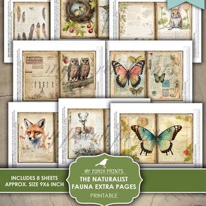 Junk Journal, Naturalist, Fauna, EXTRA PAGES, Papers, Nature, Animals ...
