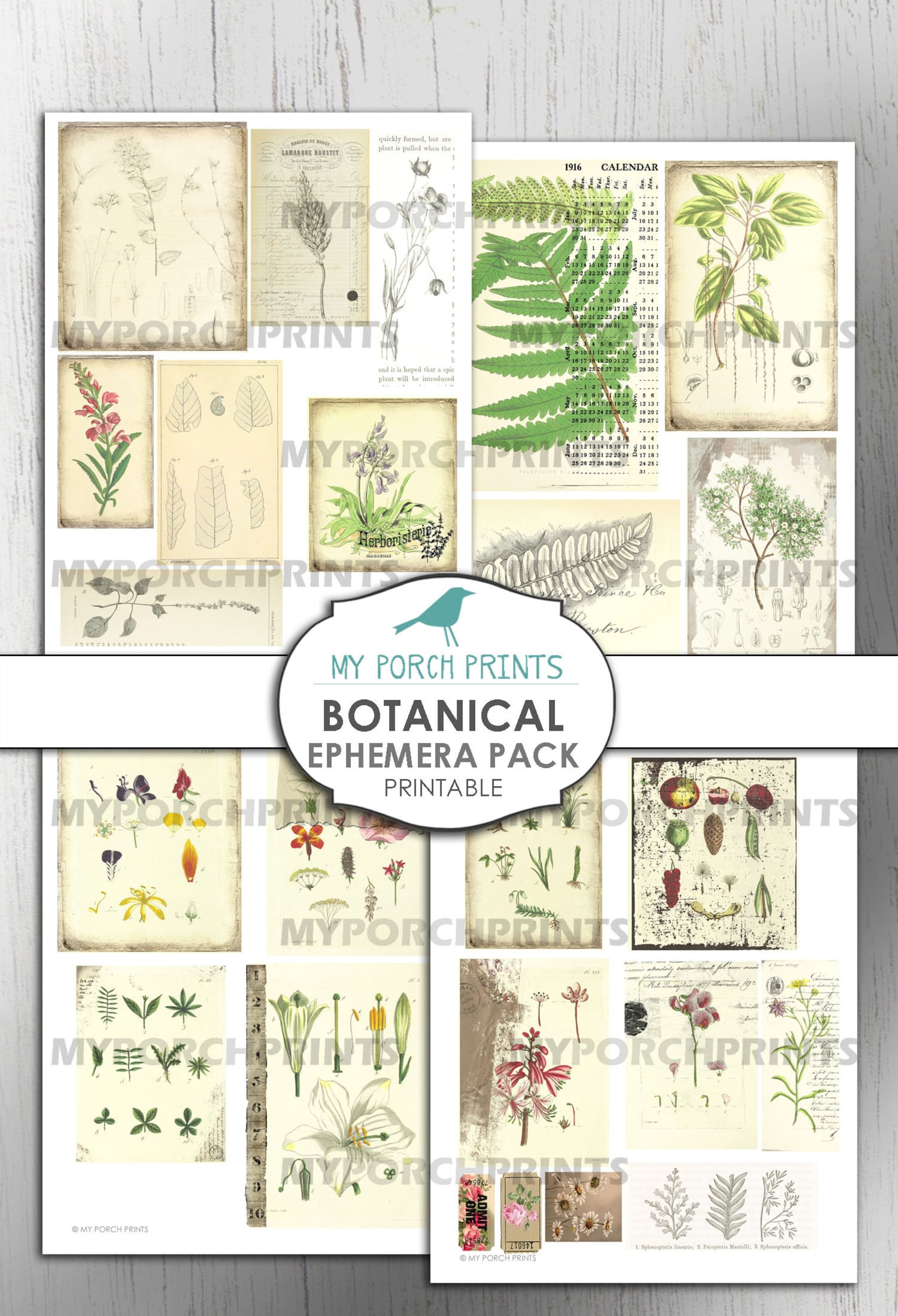 Botanical Ephemera Pack, Junk Journal Ephemera, Postcard, Collage Sheet ...