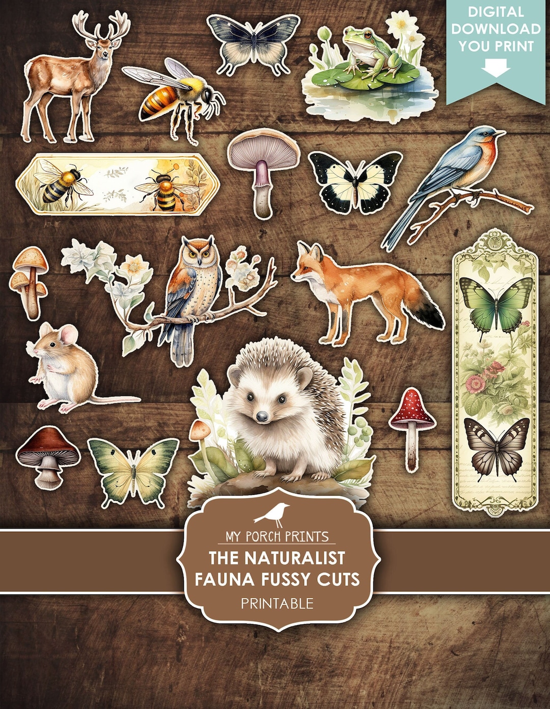 Junk Journal, Naturalist, Fauna, Fussy Cuts, Nature, Animals, Woodland ...