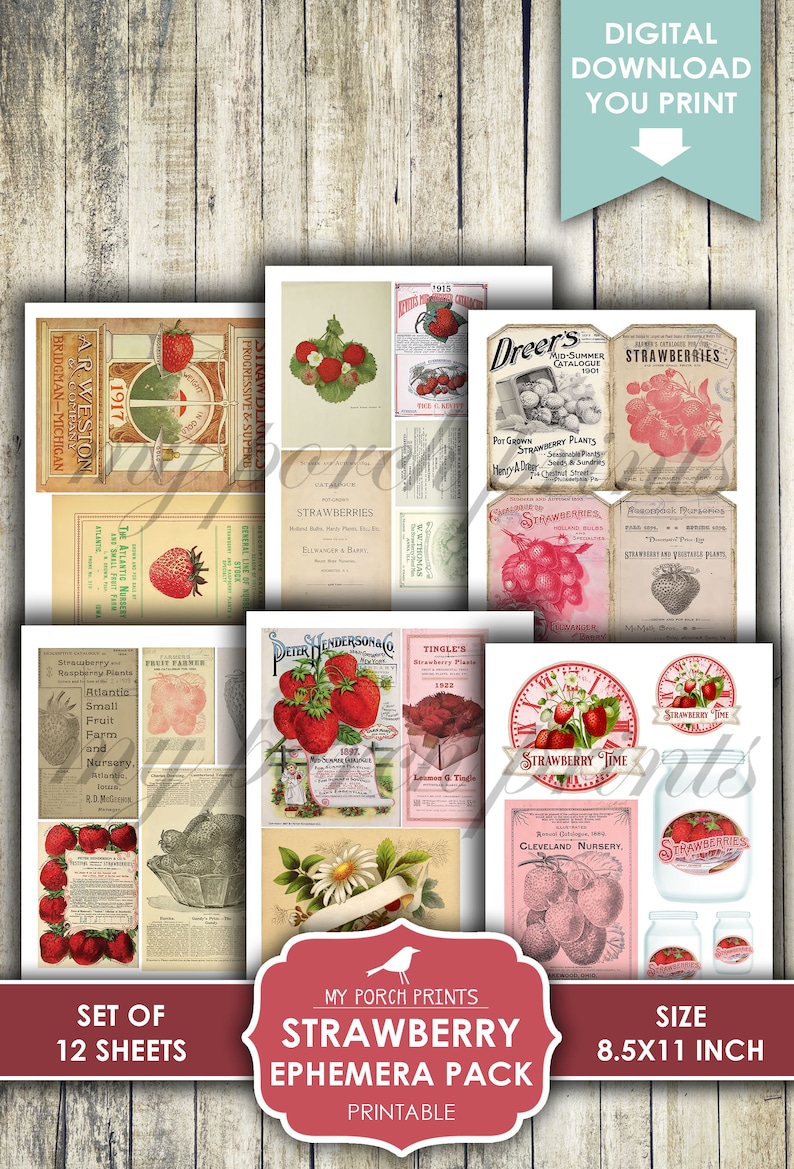 Strawberry Ephemera Pack Shabby Vintage Strawberries Red - Etsy