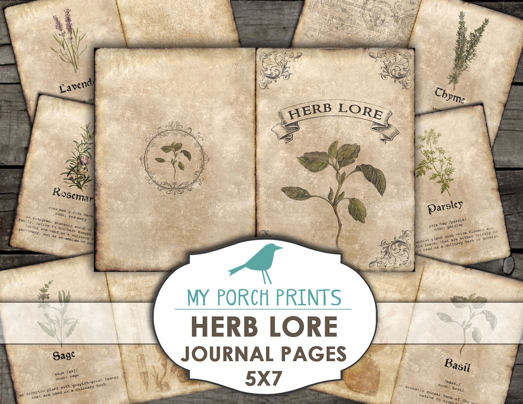Herb Lore, Journal Pages, 5x7, Ephemera, Mini Album, Potion Book ...