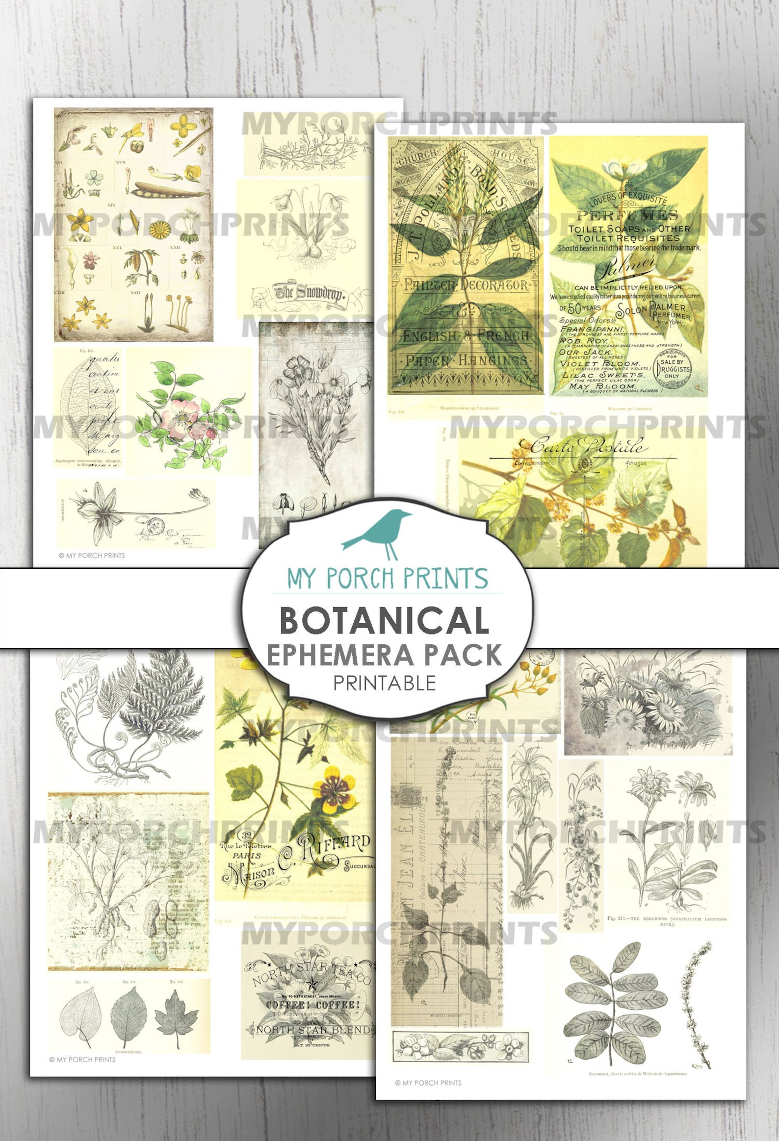 Botanical Ephemera Pack, Junk Journal Ephemera, Postcard, Collage Sheet ...