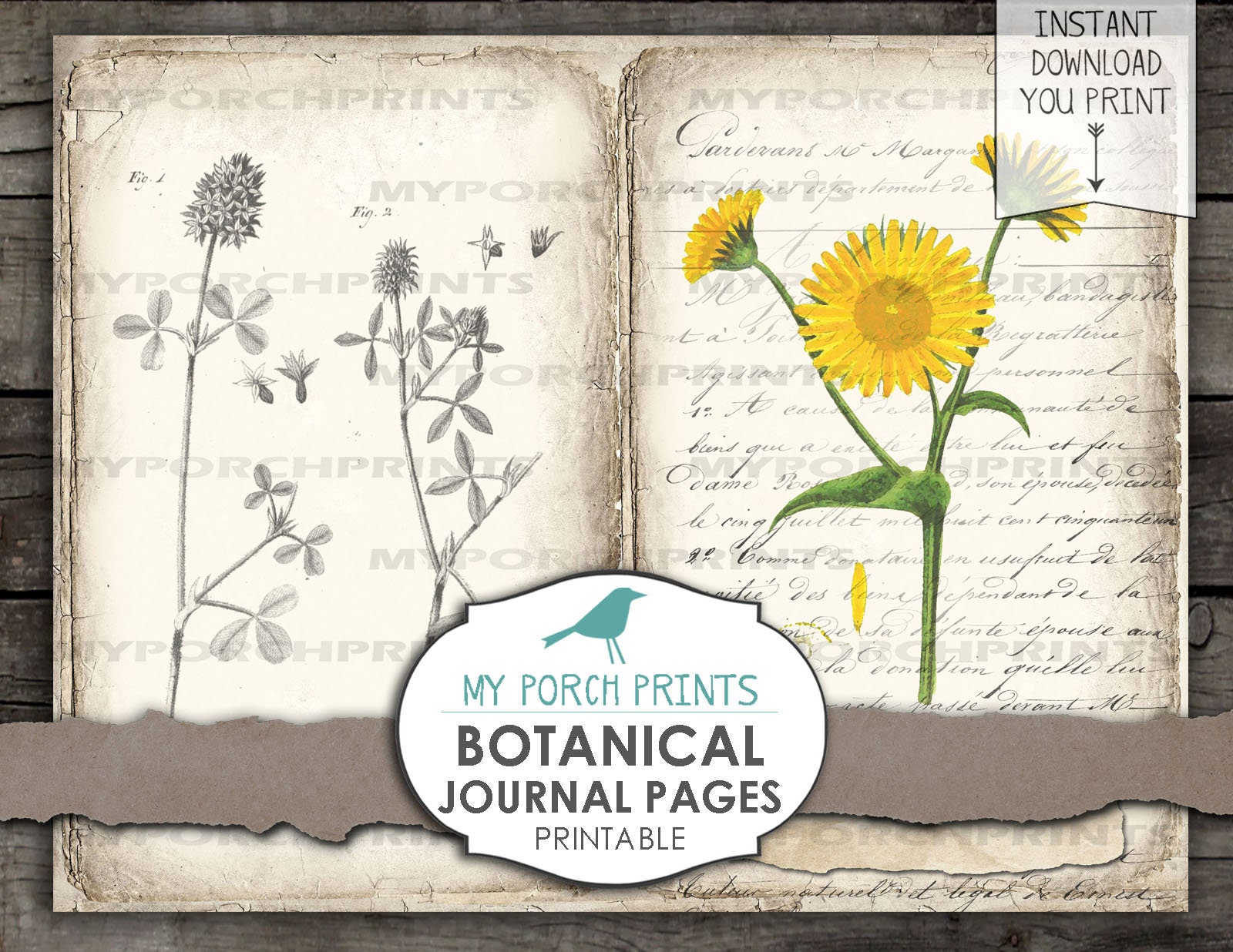 Botanical Junk Journal Pages Field Guide Junk Journal Kit | Etsy